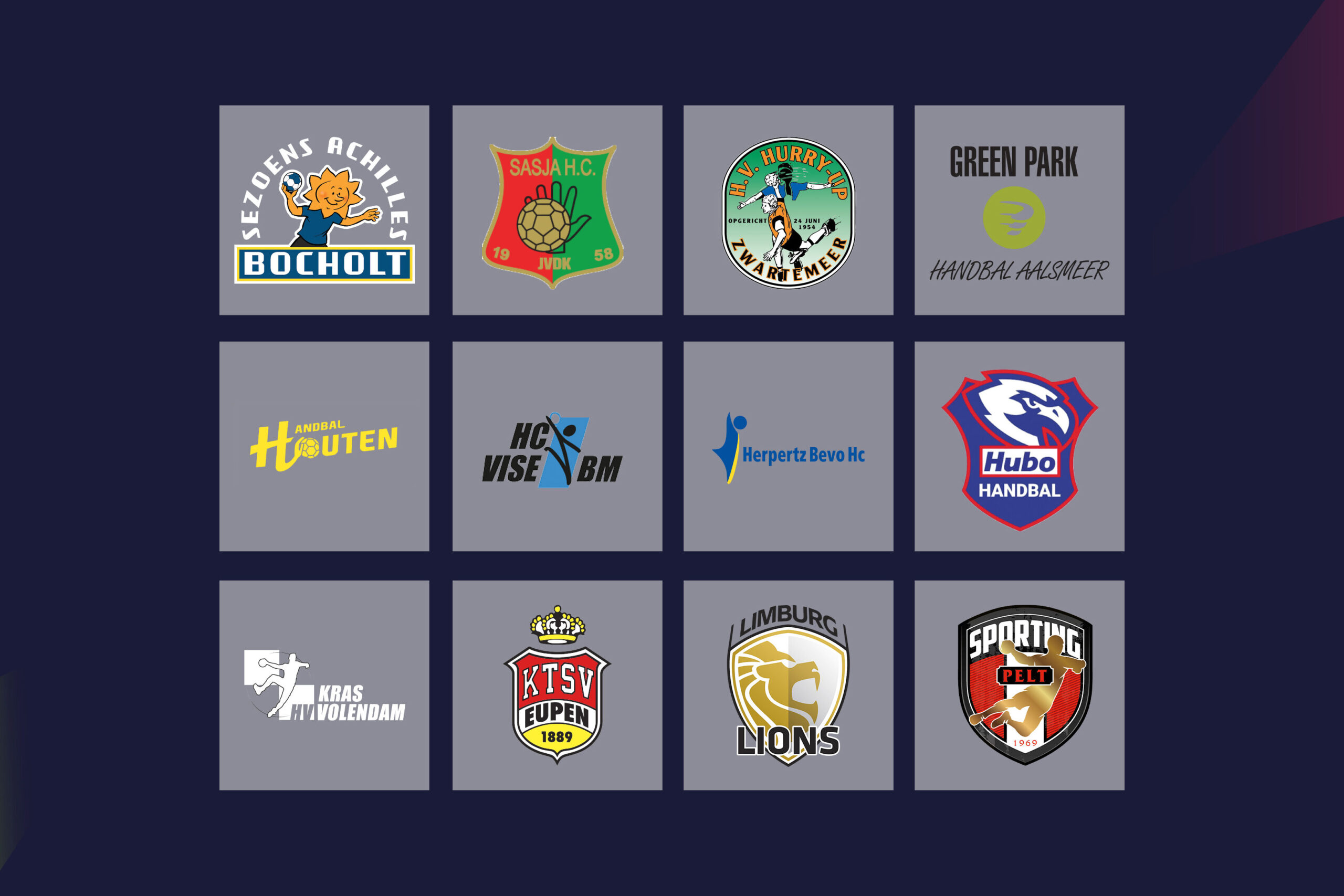 Teams season 24|25 - Super Handball League